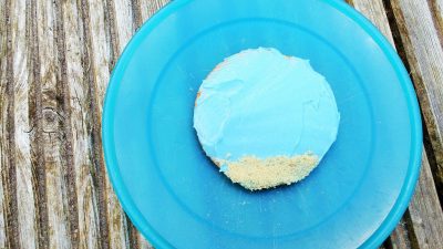 Our Easy, Edible Fish Craft - step-by-step guide — Lucy At Home