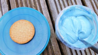 Our Easy, Edible Fish Craft - step-by-step guide — Lucy At Home