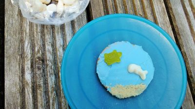 Our Easy, Edible Fish Craft - step-by-step guide — Lucy At Home