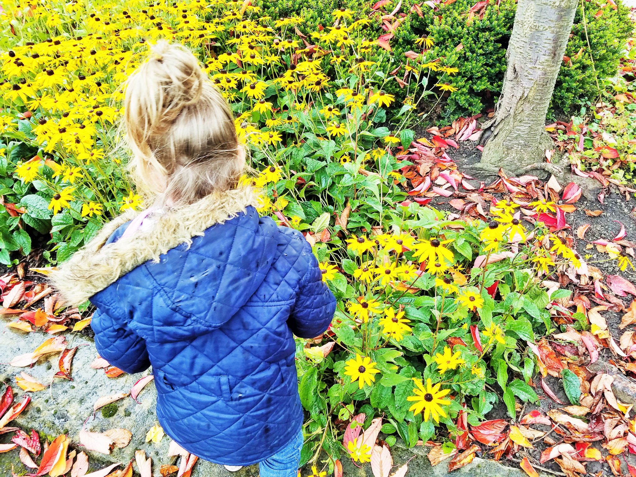 I Have A Little Superpower: A Poem — Lucy At Home