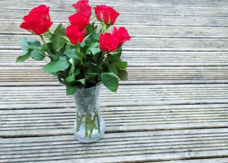 Why It's Vital To Discipline, Even As A Gentle Parent — Lucy At Home